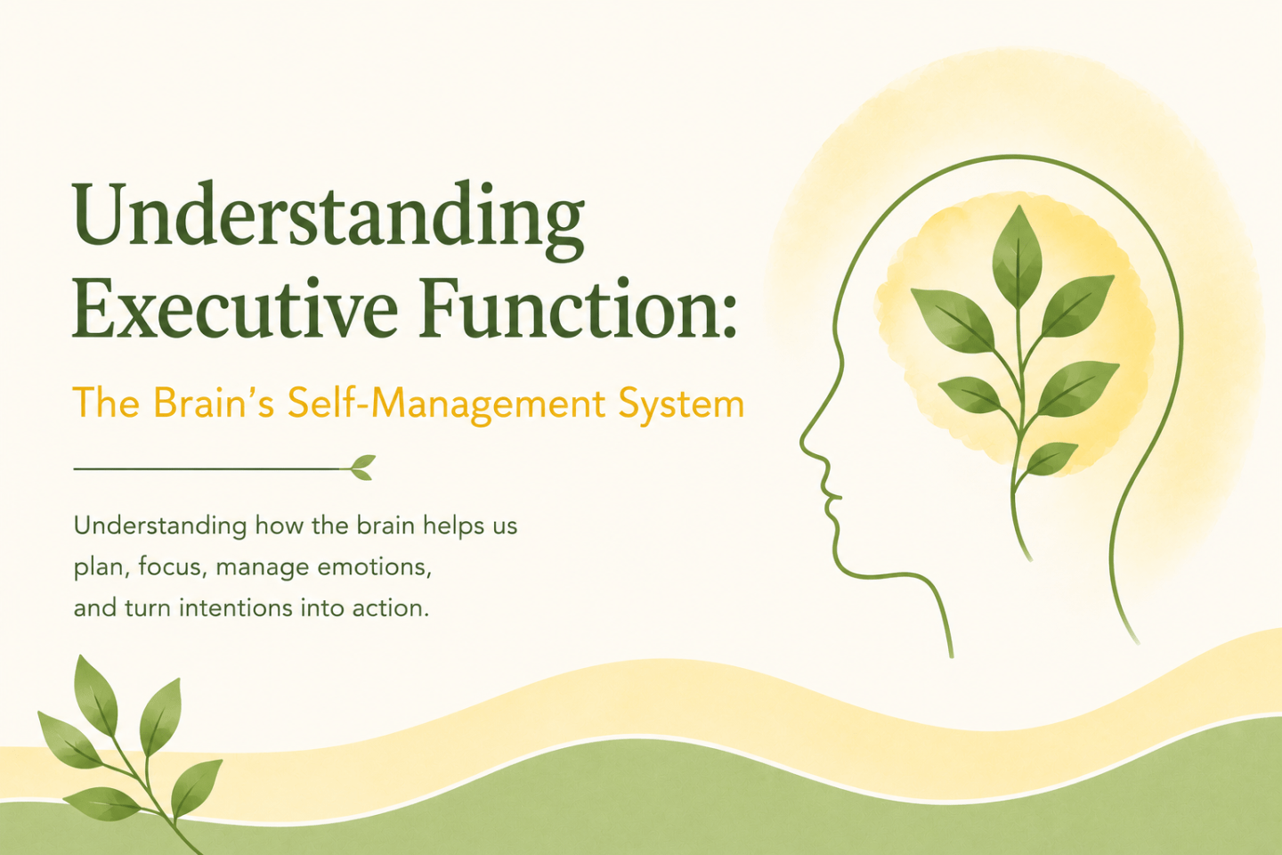Understanding Executive Function: The Brain’s Self-Management System ...